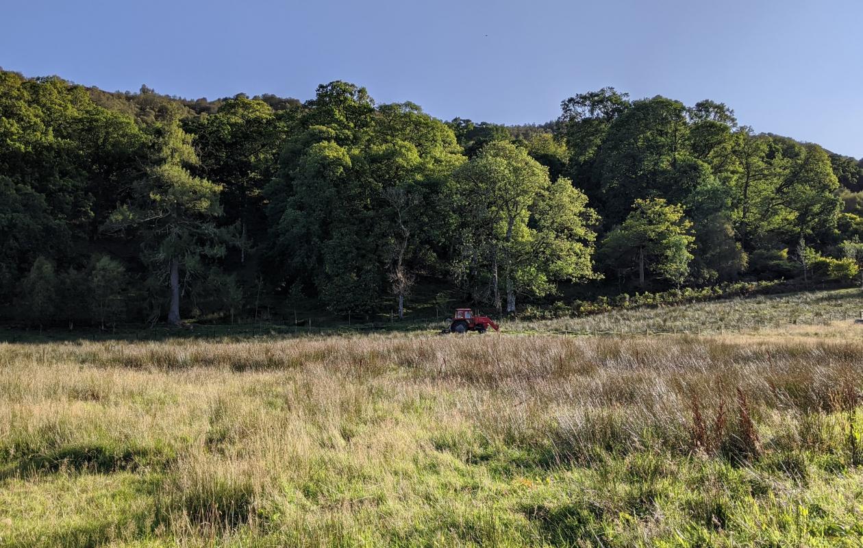 Scottish Rural Action | Scottish Rural Action